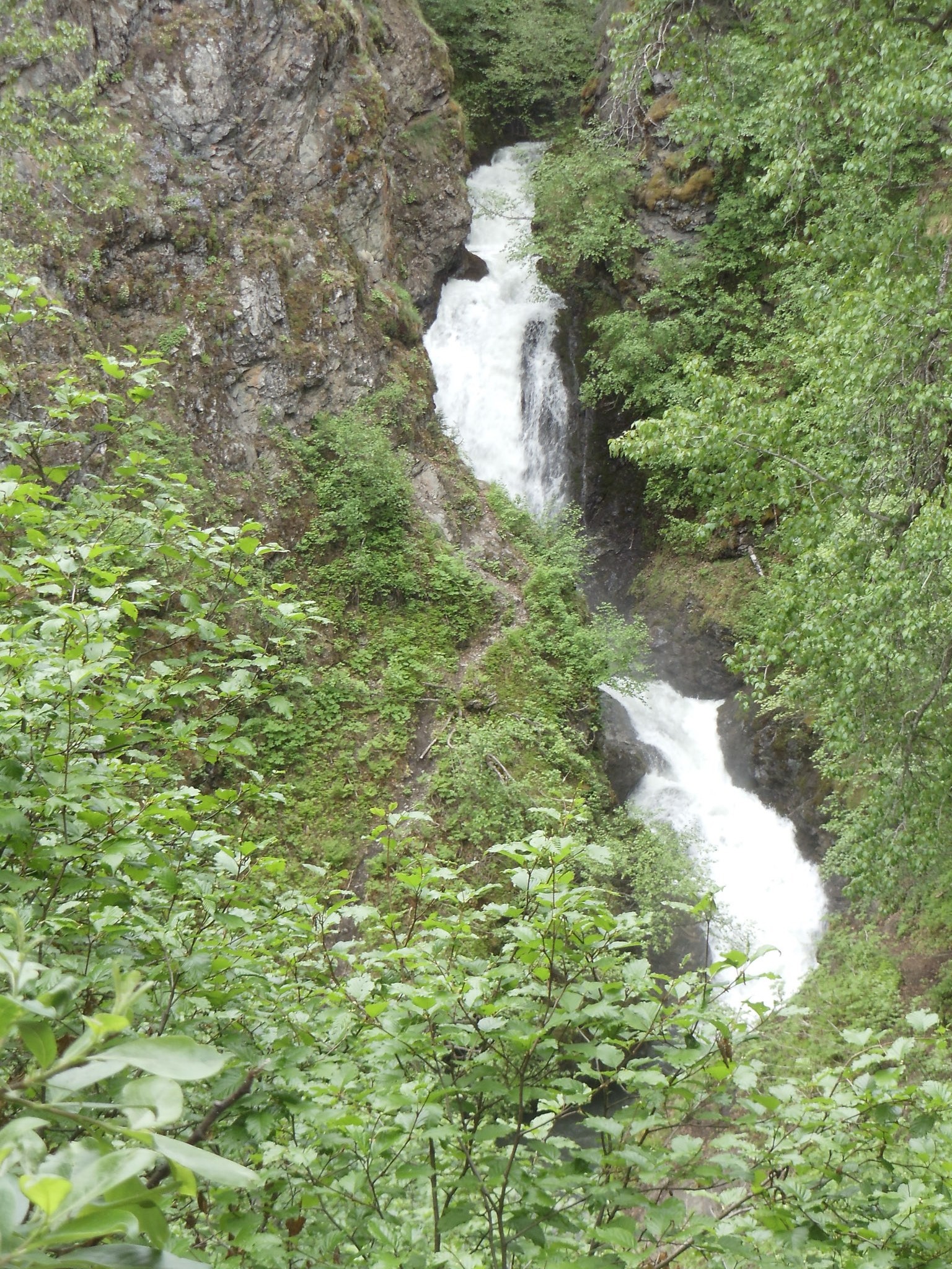 Thunderbird Falls Trail | ALASKA.ORG